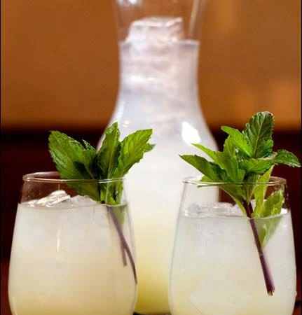 Red Ant River Swizzle Recipe - Absinthia's Bottled Spirits